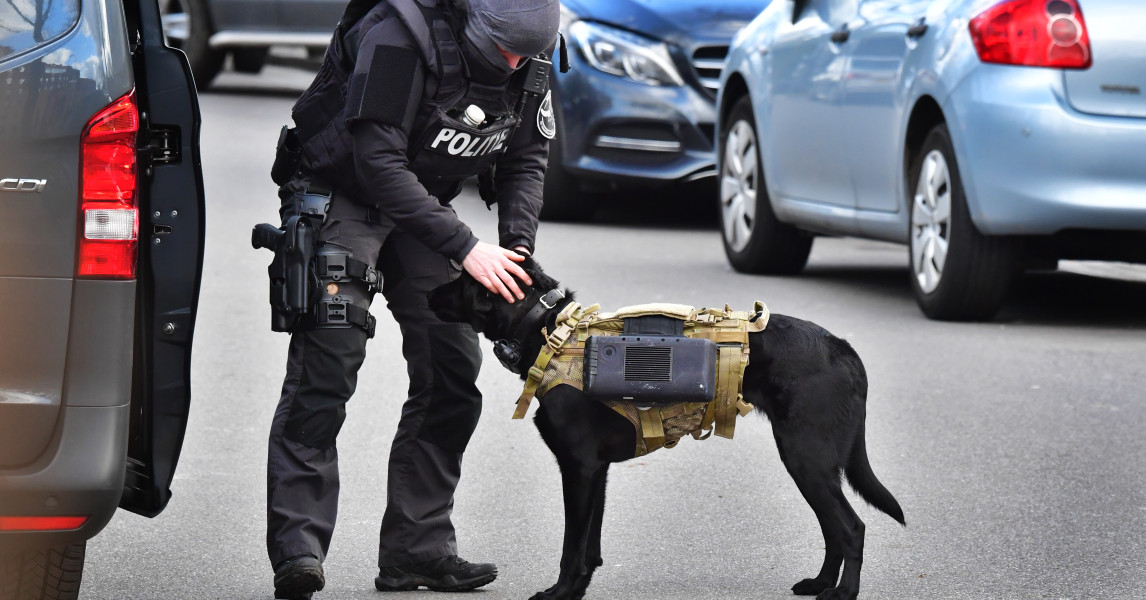 Wat is de beloning voor een politiehond en hoe ziet zijn leven er ...