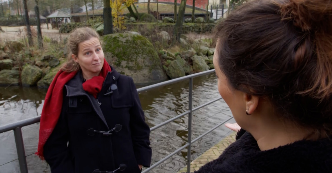 Rolverdeling tussen moeder en vader ‘nog steeds te traditioneel’: ‘Te ...