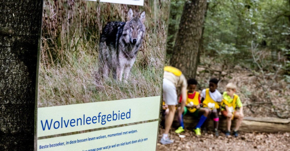 Toch bijtwond bij hond die in Zeist wolf tegenkwam | WNL