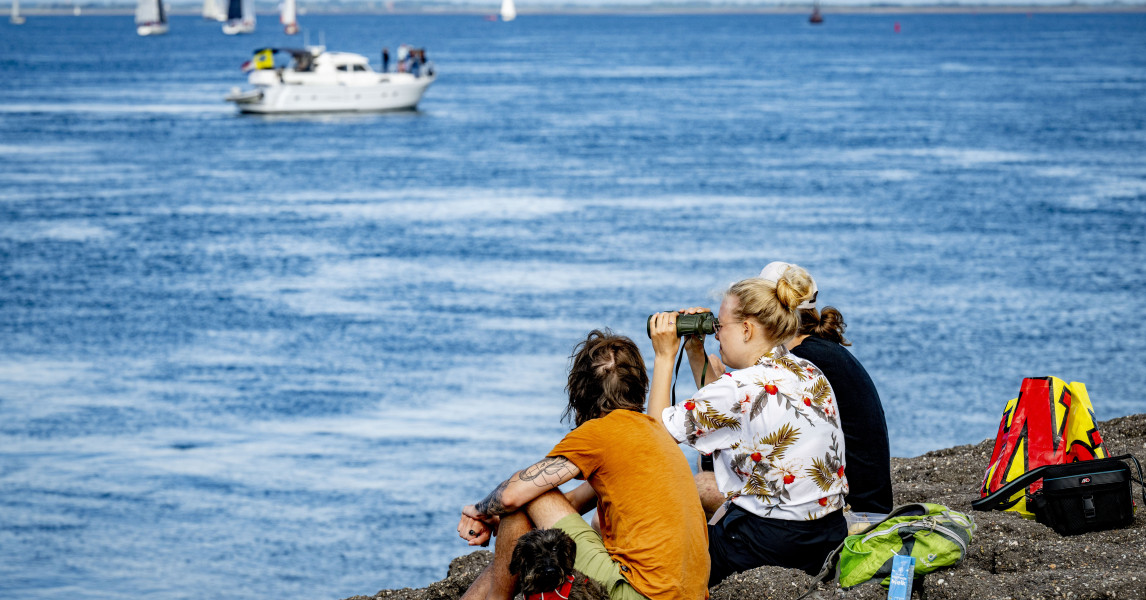 Kans dat je een walvis spot vanaf het strand bij IJmuiden is aanwezig, ‘maar het is hier nog ...