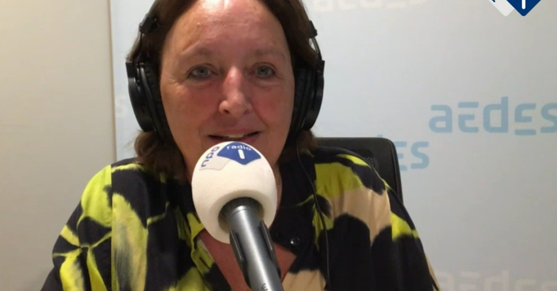 Aedes-voorzitter Liesbeth Spies noemt huurbevriezing 'ondoordacht en dom': 'Gesprekken over ...